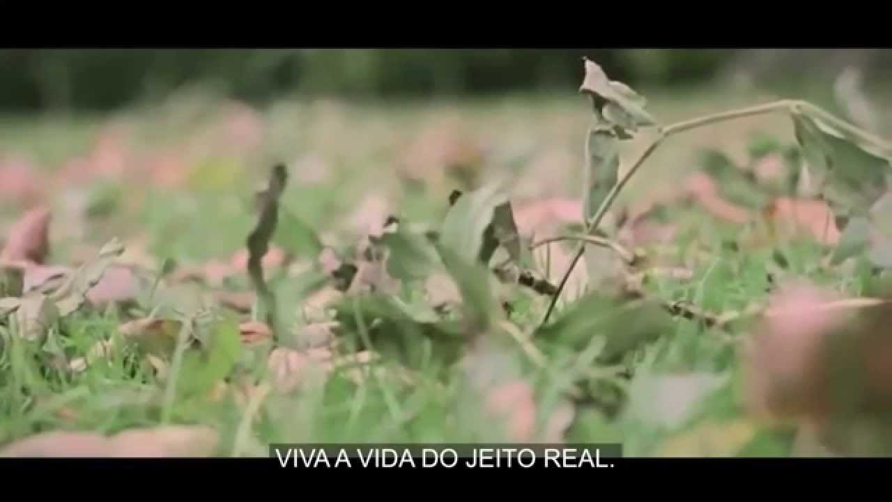 Look up - Gary Turk - Legenda e Dublador Português BR - Amador - YouTube