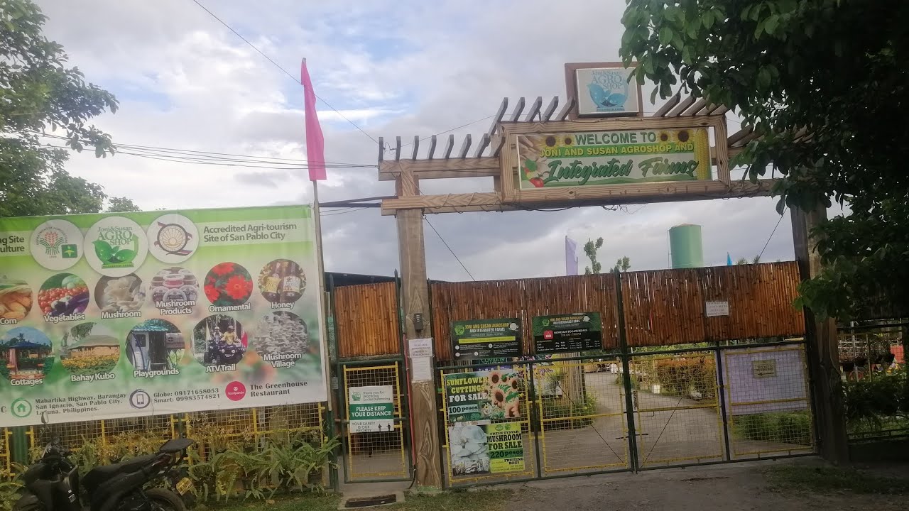 JASIF | sunflower | mushroom farm - YouTube