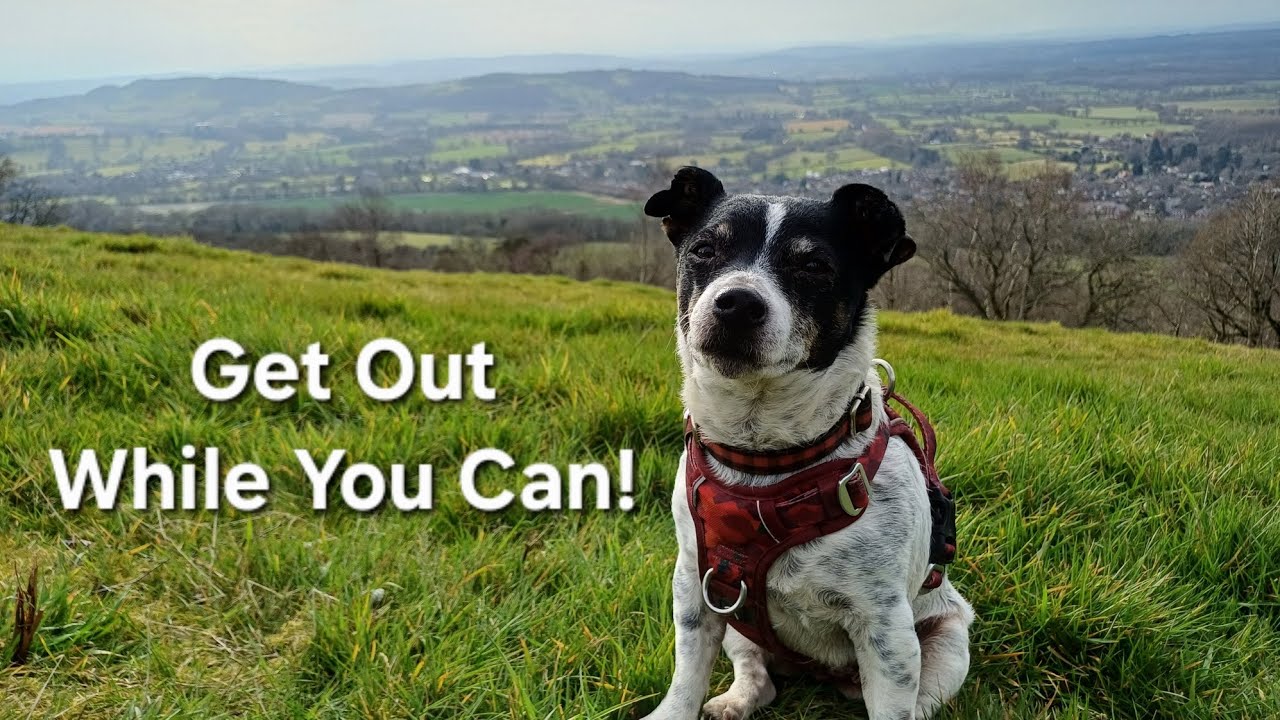 Get out while you can. Enjoying Nature whenever you can, while you ...