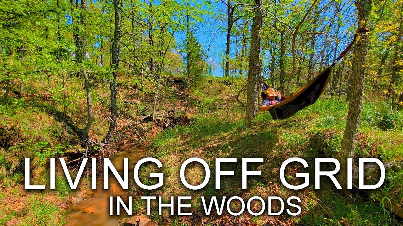 Living Off-Grid In The Woods - YouTube