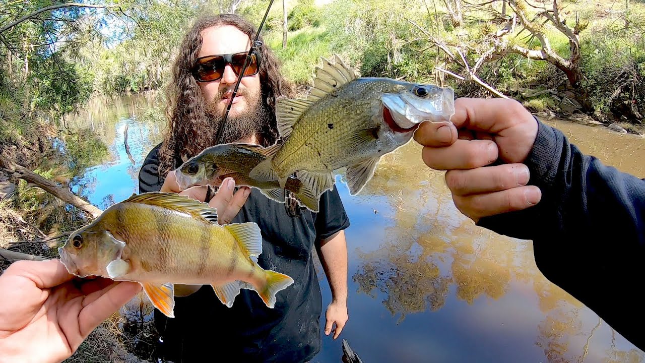 Freshwater Estuary Perch And Redfin Fishing Maribyrnong River - YouTube