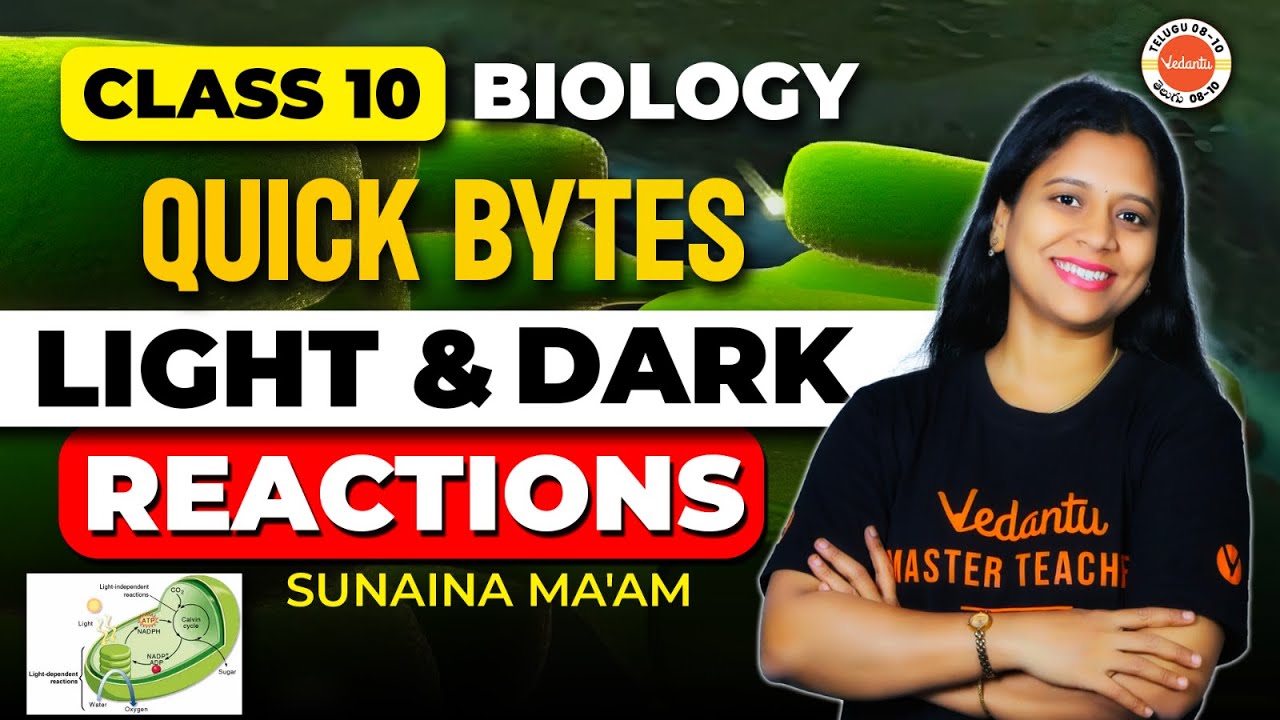 LIGHT and DARK REACTIONS | Quick bytes | Class 10 biology | Sunaina Ma ...