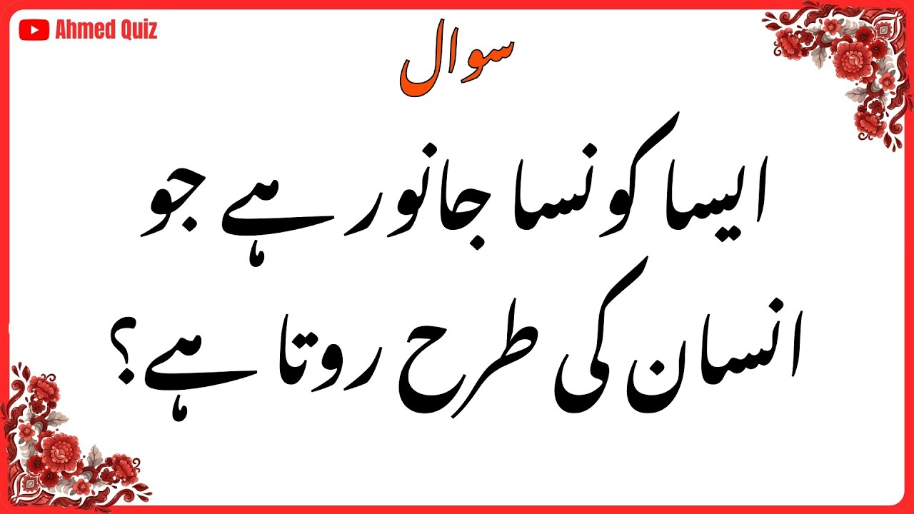 15 General Knowledge Questions | GK Quiz in Urdu | Science, Geography ...