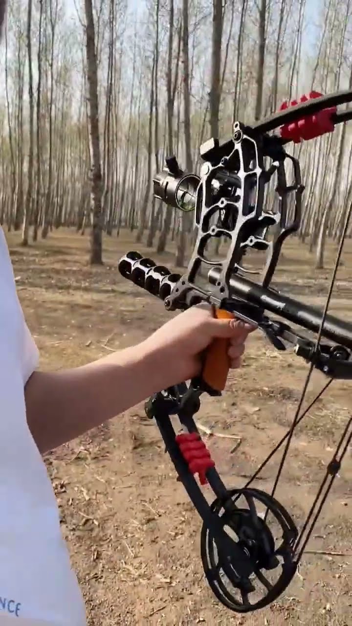 Compound bow with cartridge👍 #slingshot #compoundbow #huntinglover # ...