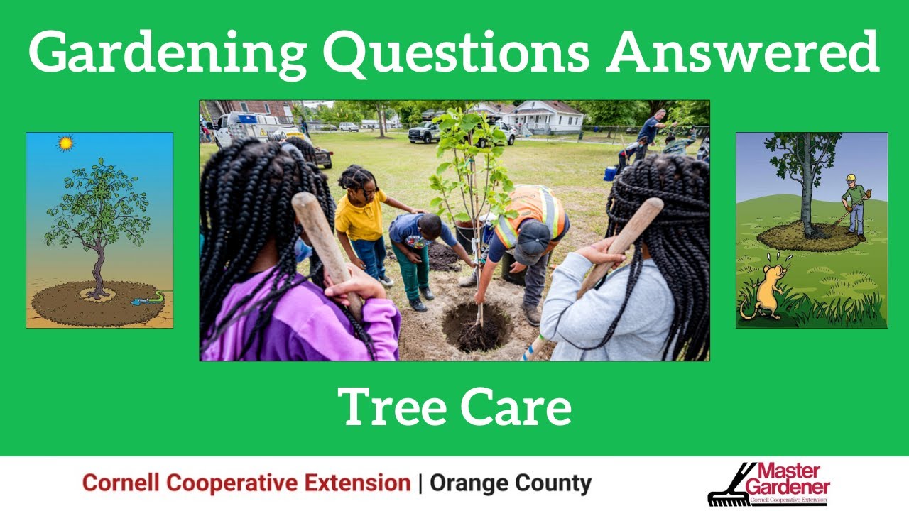 Tree Care | Gardening Questions Answered - YouTube