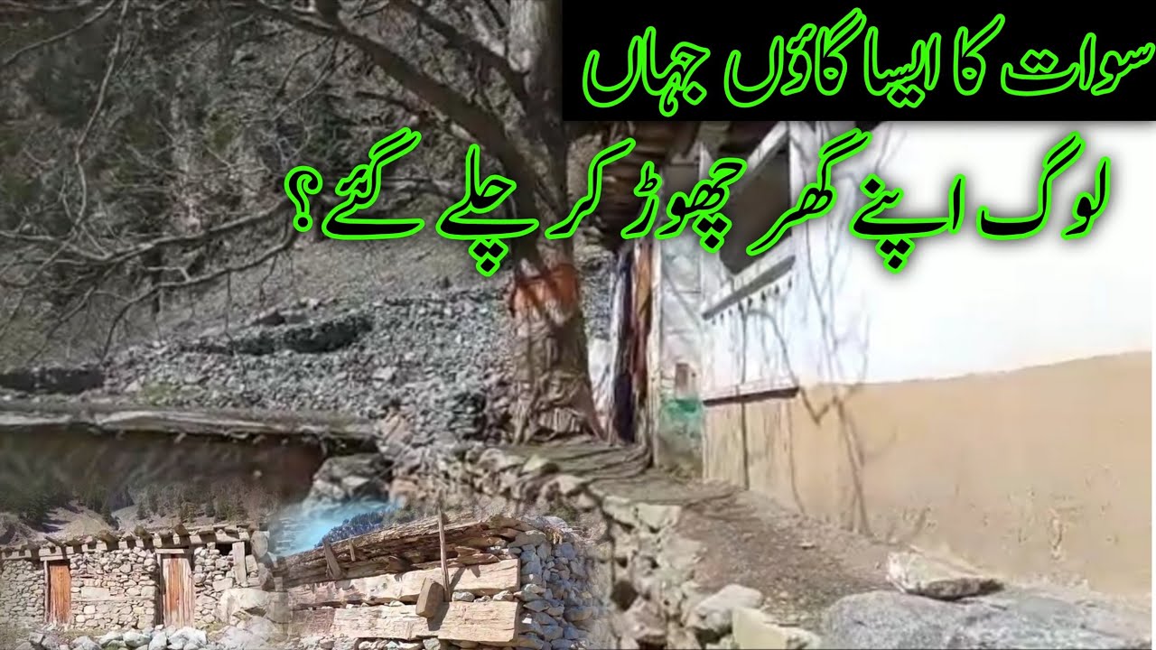Amazing village in swat only homes no humans 😮 | Is Village ke log gher ...