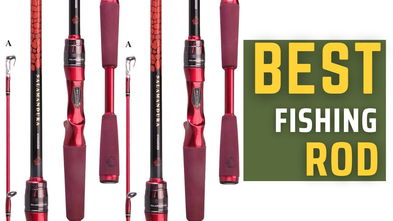 Best Fishing Rod | NEW DAIWA Fishing Rod Review in 2023 - YouTube