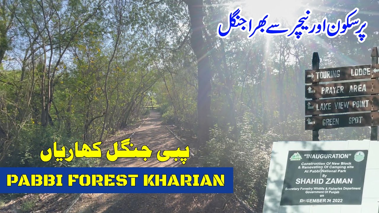 A Short Trip to Pabbi National Park Kharian | Place full of Nature ...