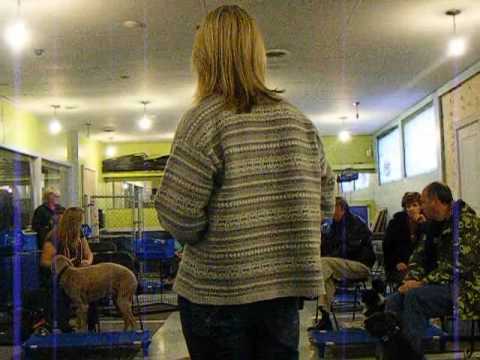 Dogzies - Robin MacFarlane Seminar - YouTube
