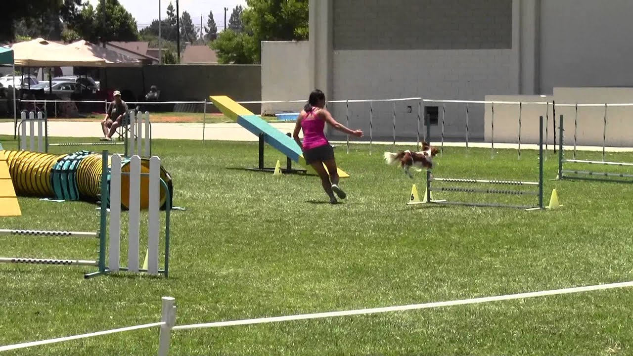 Nicole & Ruby - PVP Standard - 07/27/12 - YouTube