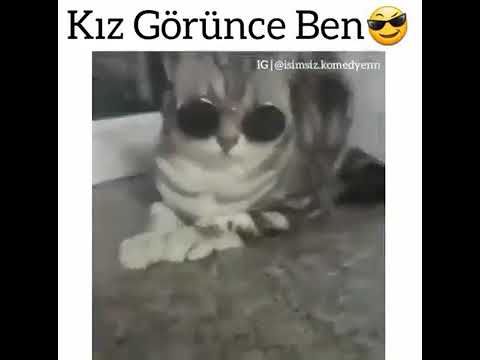 ALEYNA TİLKİ İFŞA VİDEO SİLİNMEDEN İZLE