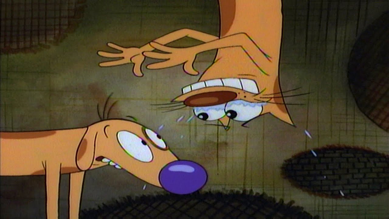 CatDog: Cat (4) - YouTube