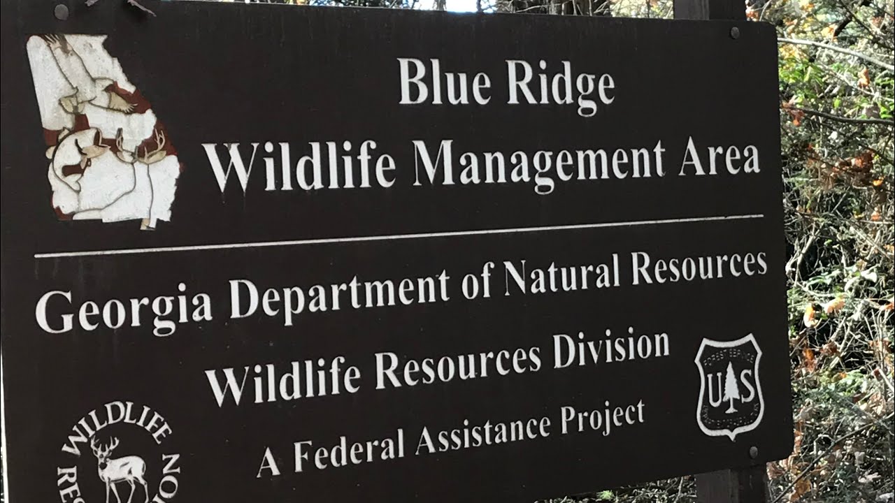 Blue Ridge wildlife Management Area in the Southern Appalachian ...