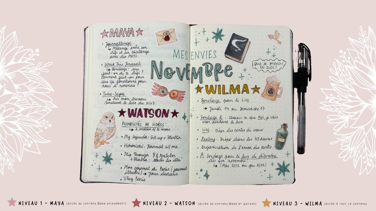 Mes envies pour novembre 2024 - YouTube