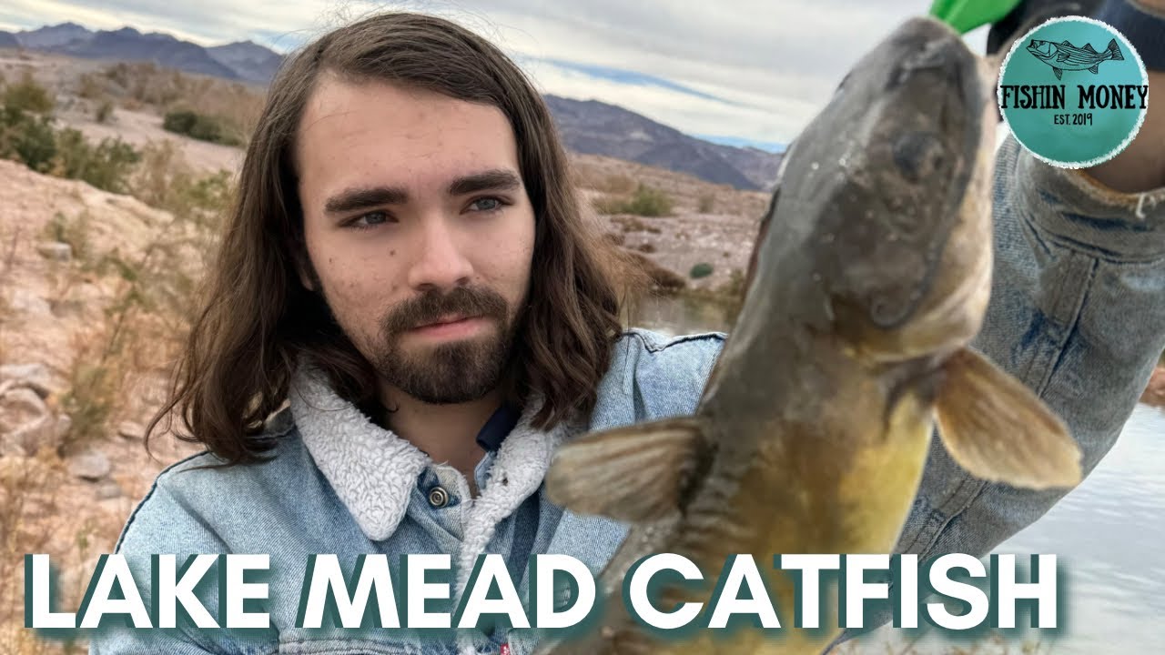 Lake Mead Fishing at Hatchery Saddle Point - YouTube