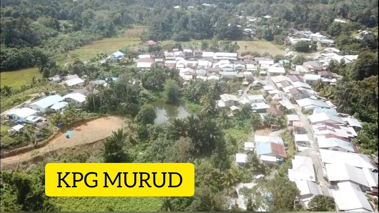 KPG MURUD PLAMAN & KPG MURUD MAWANG SERIAN SWAK - YouTube