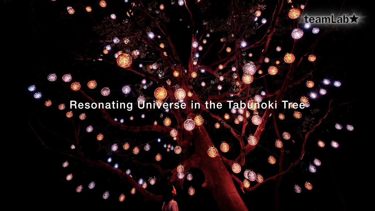 Resonating Universe in the Tabunoki Tree - YouTube