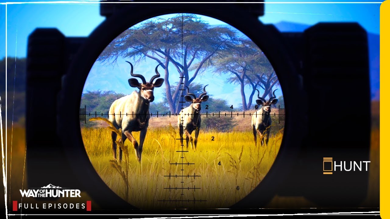 The VALUE of patience | Hunting Kudus - way of the hunter - YouTube