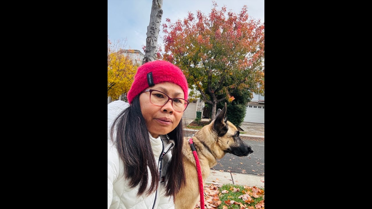 Live walking w/dog & its beautiful weather - YouTube