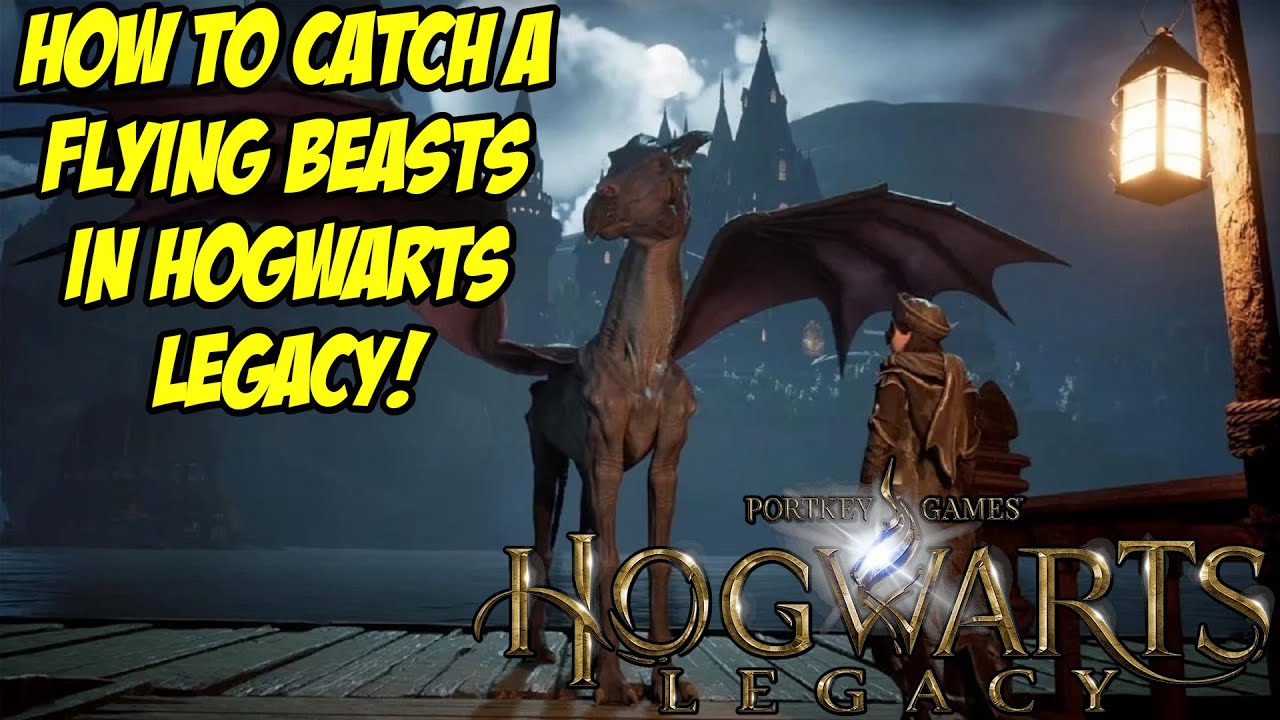 How to Catch a FLYING Beasts in Hogwarts Legacy! - YouTube