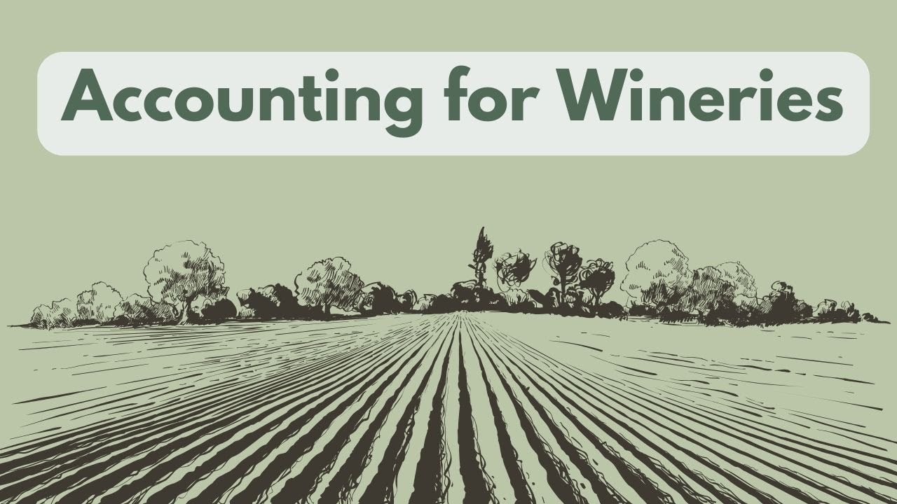 Accounting for Wineries - YouTube