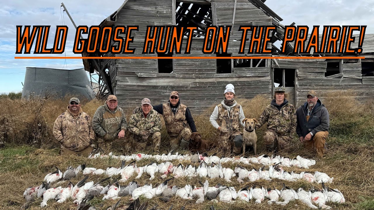 Wild Fall Goose Hunt on the Prairie! - YouTube