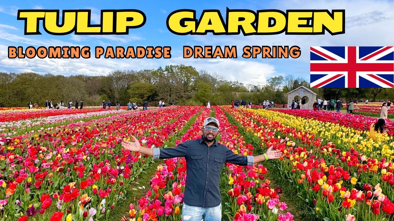 Tulip Fest in London UK 🇬🇧| Tulip Garden | Its a Blooming Paradise Dream Spring 🌷🌷 - YouTube