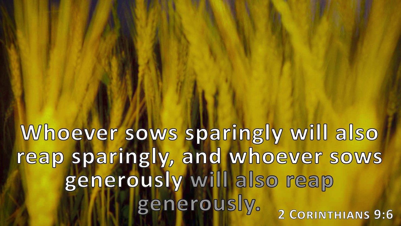 2 Corinthians 9:6, Holy Bible, NIV - YouTube