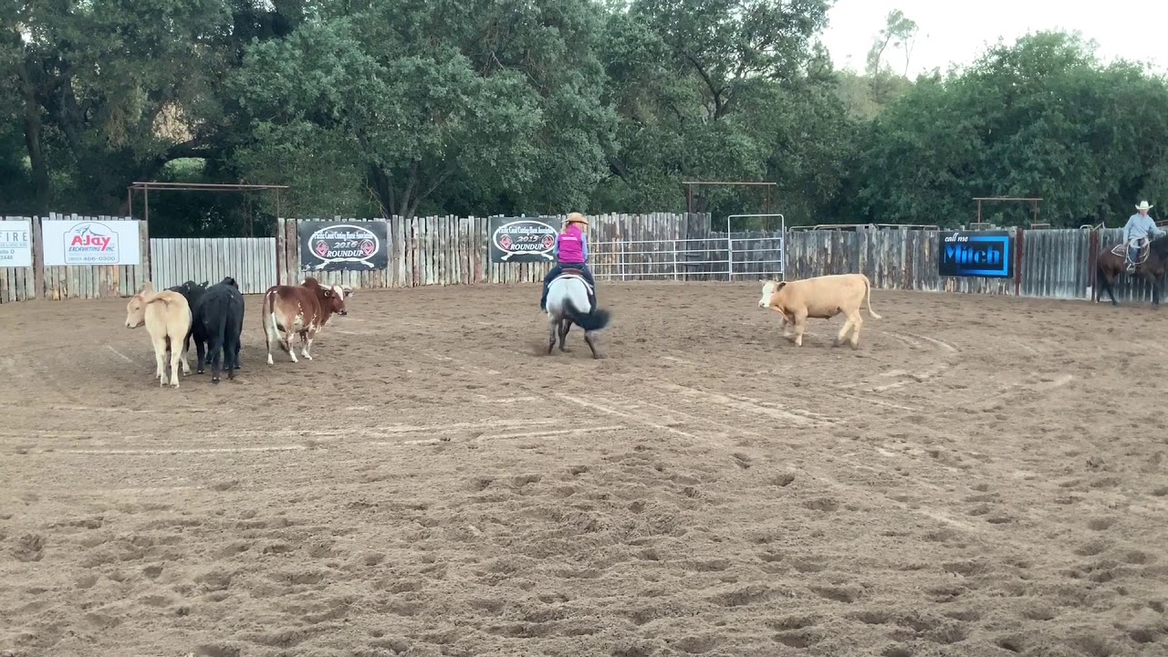 2018 Gelding by Metallic Rebel in training with Morgan Cromer - YouTube