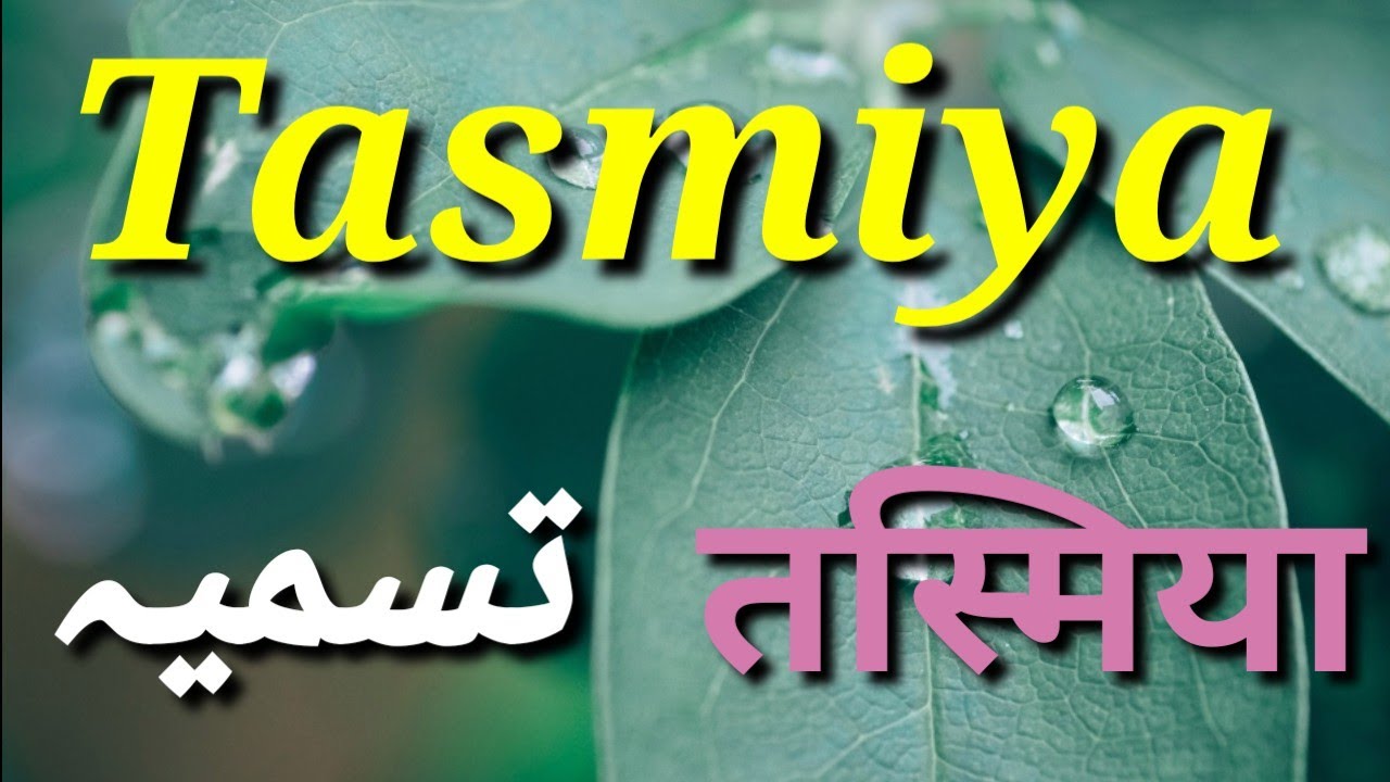 Tasmiya Name Meaning | Tasmiya Name Status | Tasmiya Name WhatsApp ...