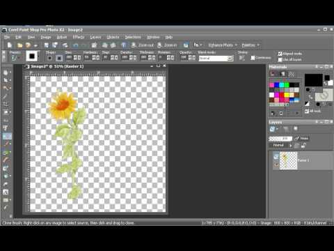 Paint Shop Pro - Fun with cloning tool - YouTube