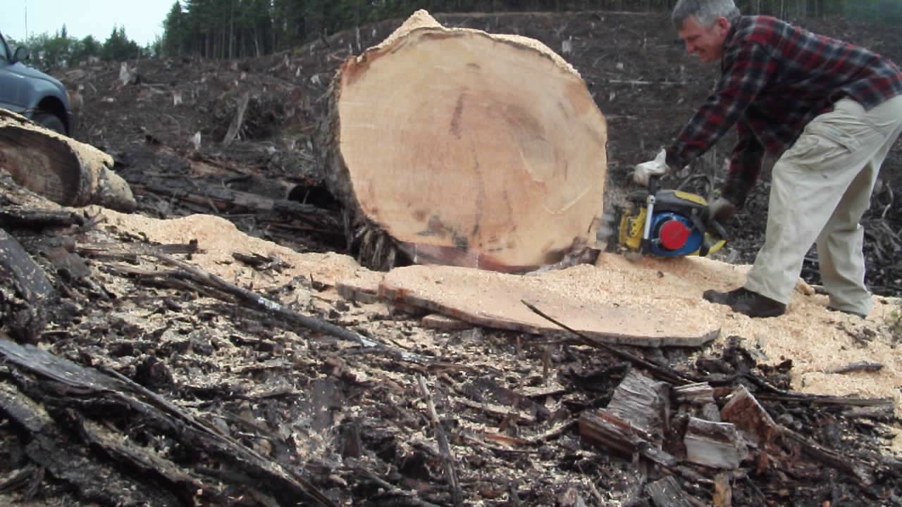 McCulloch Super Pro 125 chainsaw (#11) - YouTube