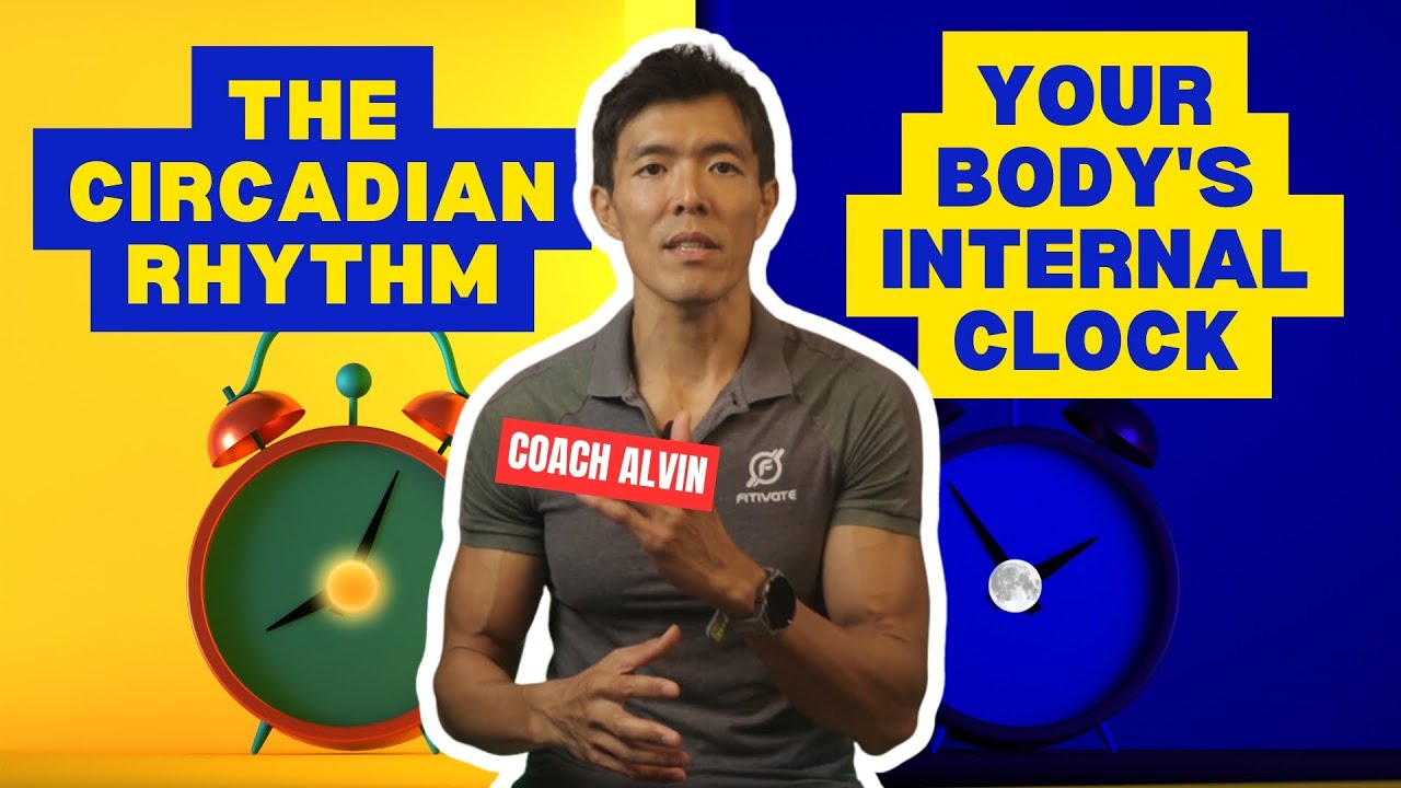 The Circadian Rhythm Explained: Your Body's Internal Clock | Sg Dr ...