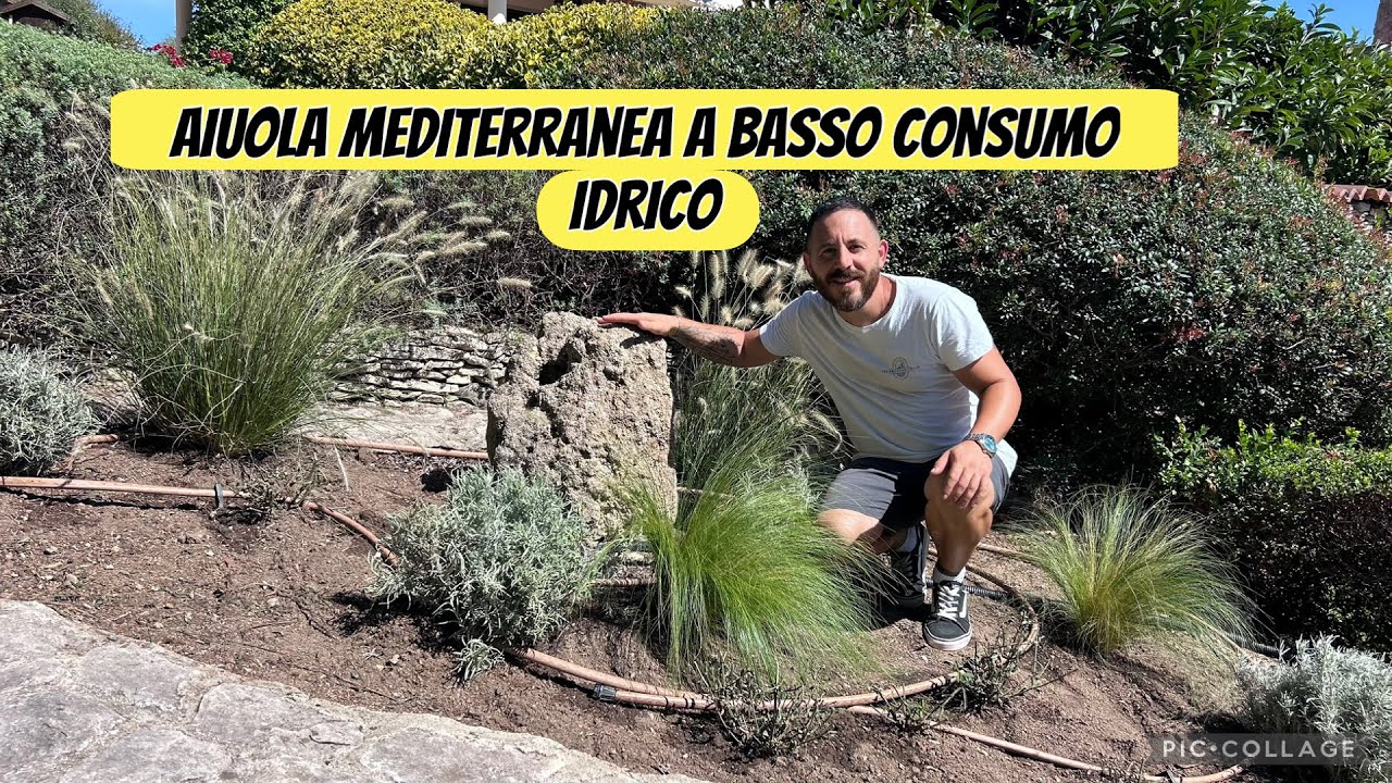 Ho realizzato un aiuola a basso impatto idrico - YouTube