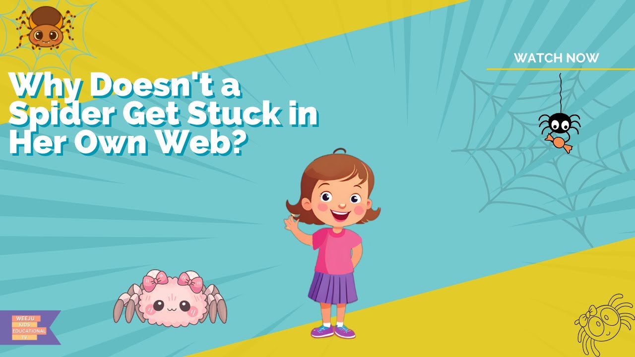 Why Doesn't a Spider Get Stuck in Her Own Web? | Kids learning video ...