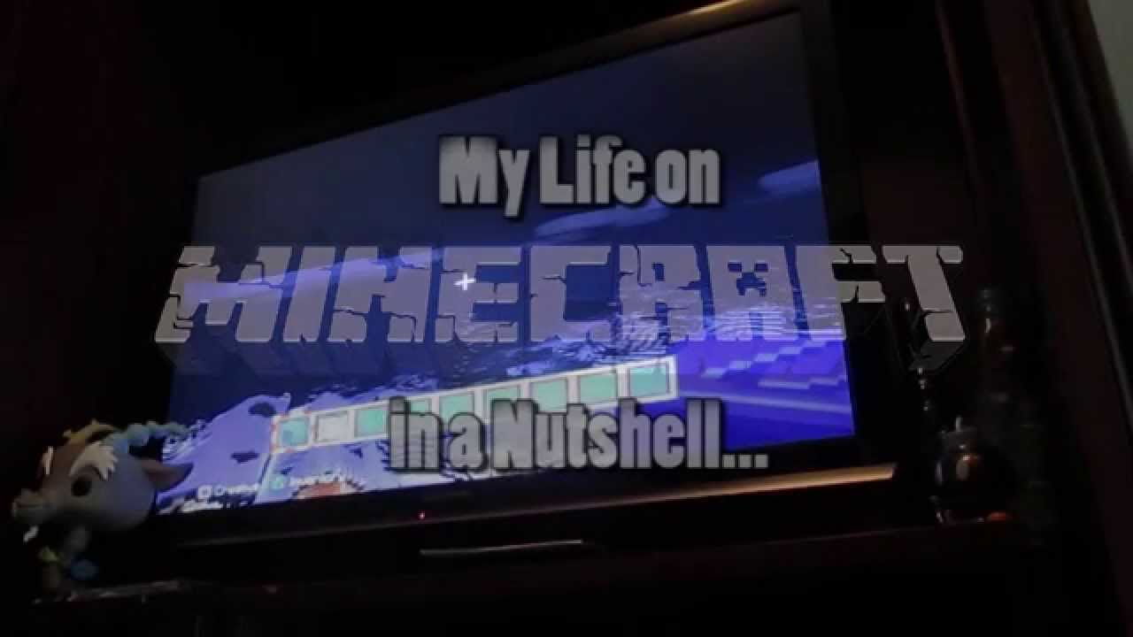 My Life on Minecraft in a Nutshell - YouTube