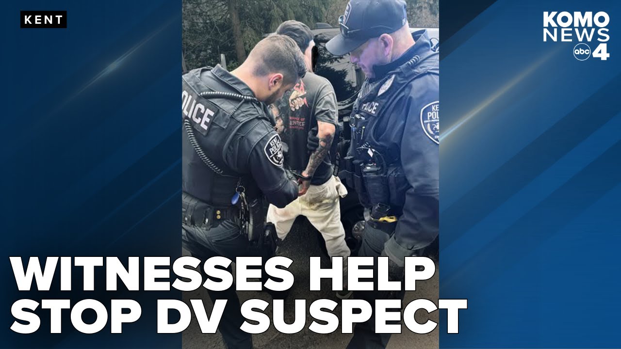 Witnesses help police quickly apprehend domestic violence suspect in ...