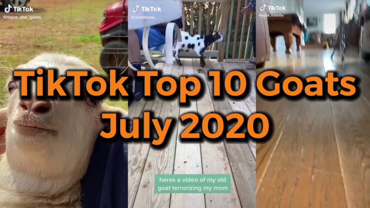 TikTok Top 10 Goat Videos July 2020 - YouTube