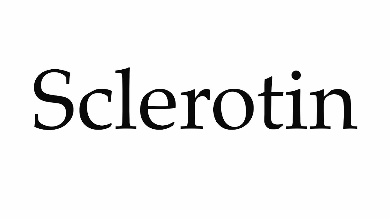 How to Pronounce Sclerotin - YouTube