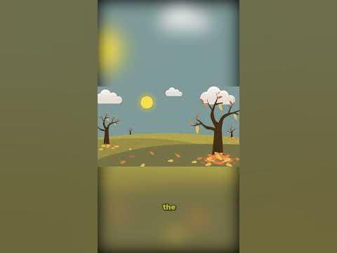 Fall: Leaves Falling, Leaves Changing Color, Climate Cooler, and Wind ...