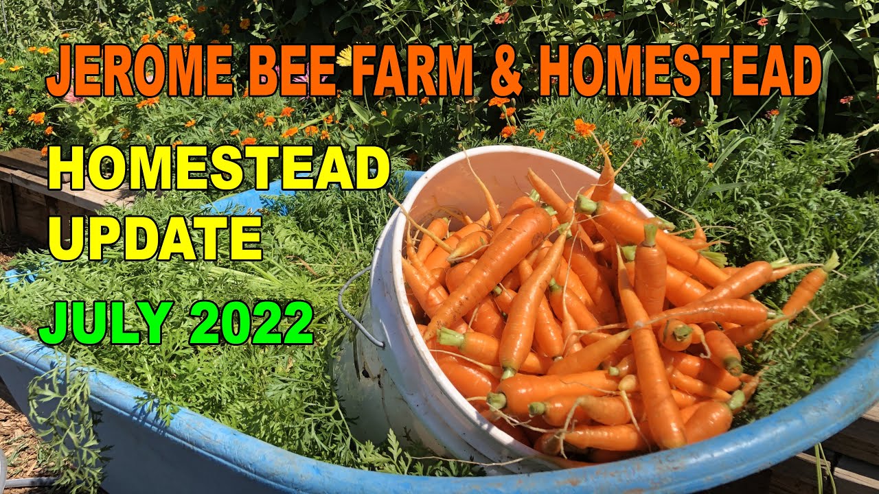 Jerome Bee Farm Homestead Update July 2022 S6E45 #homesteading # ...