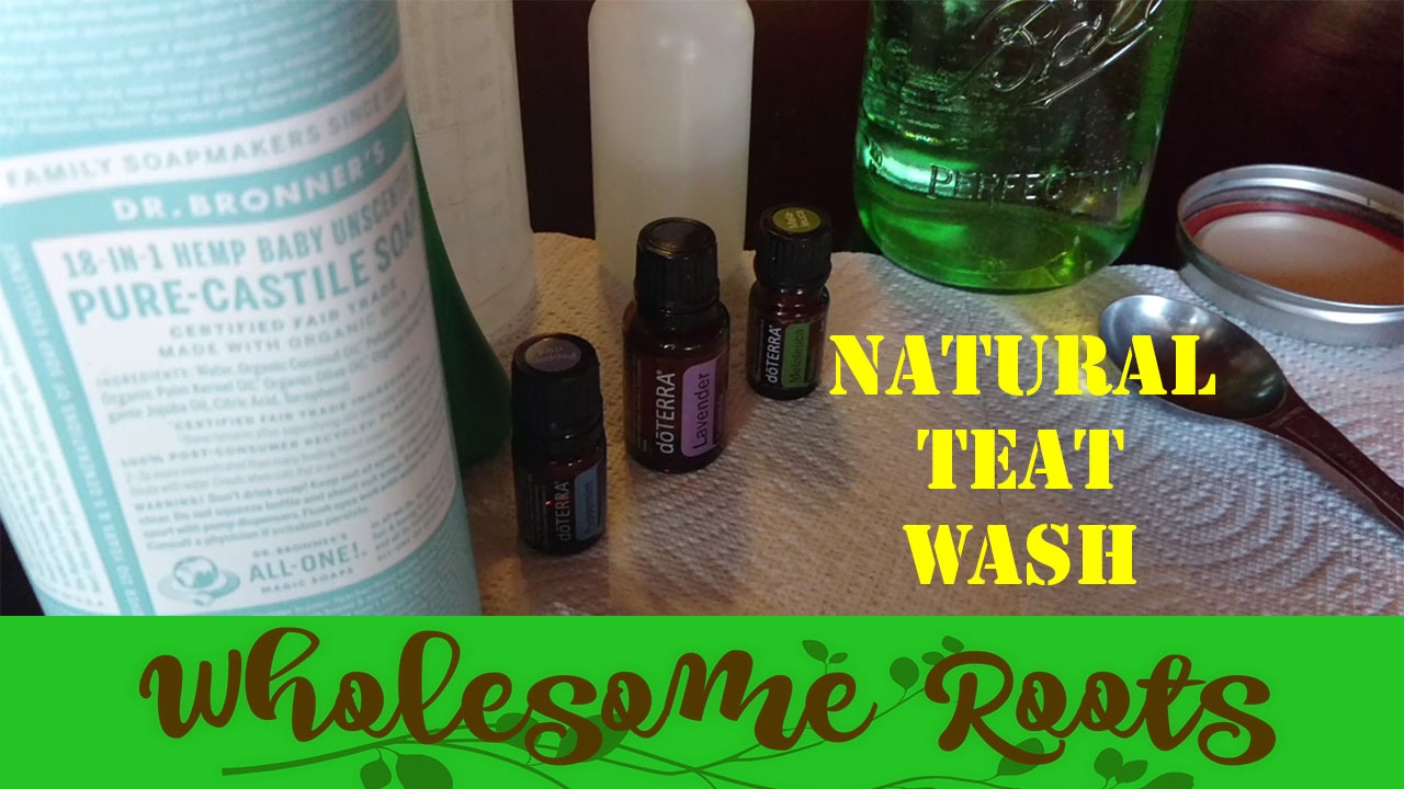 Homemade Natural Teat and Udder Wash - YouTube