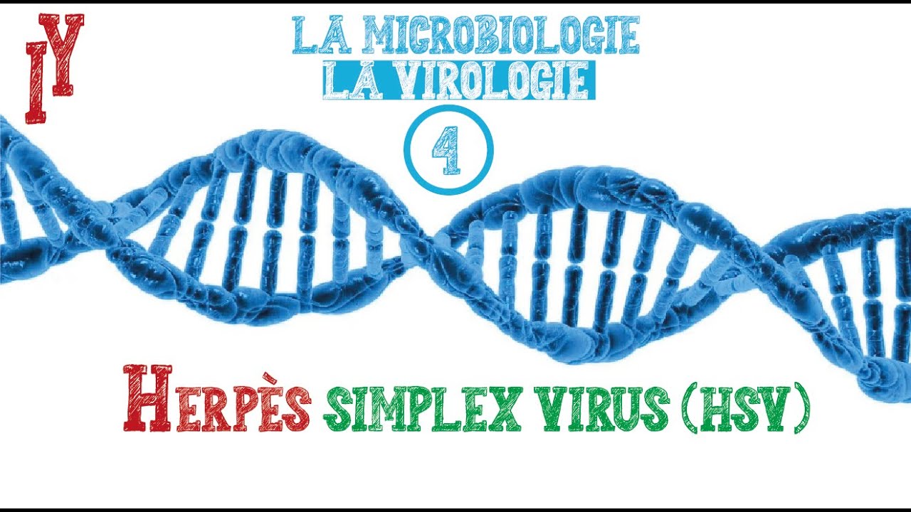 LA MICROBIOLOGIE(VIROLOGIE): EPISODE 4 (HSV-1, HSV-2) - YouTube
