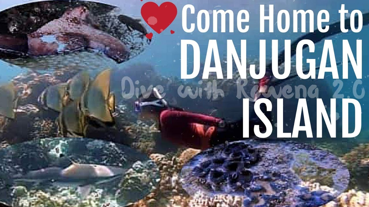 Danjugan Island Part1| SEEN SHARK, OCTOPUS, BATFISH, GIANT CLAMS Many ...
