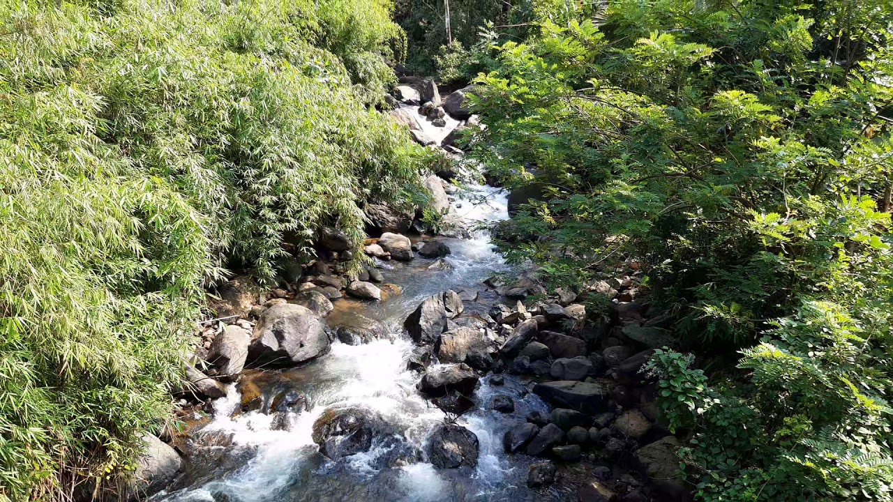 Cherupuzha from Konoorkandi Bridge - YouTube