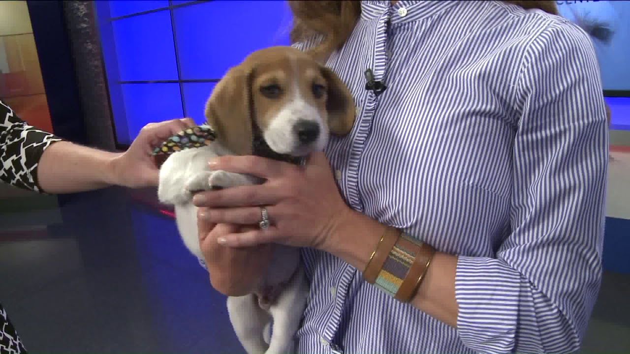 Today's Furry Friday Friend - YouTube