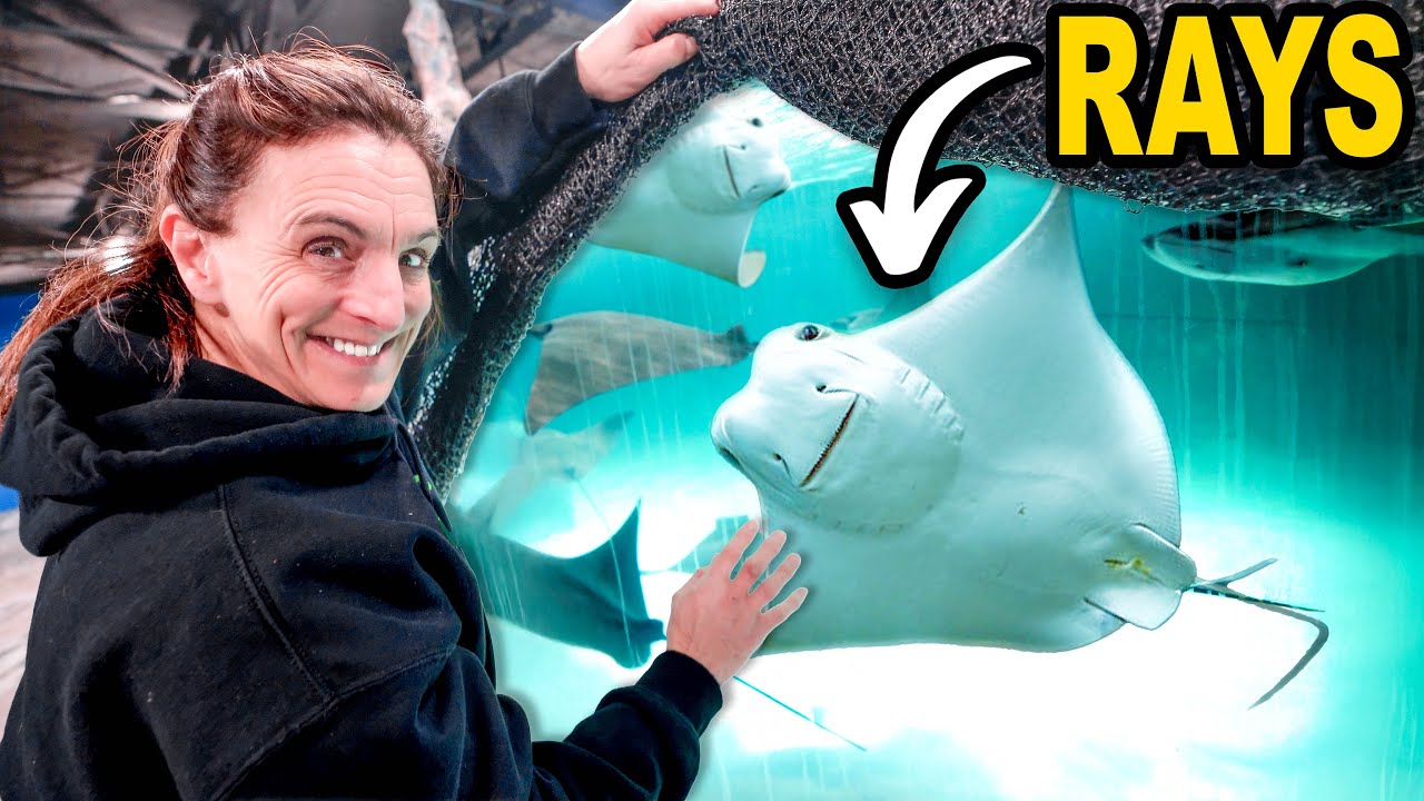 My Stingrays Are Finally Here, and I Can't Believe It! - YouTube