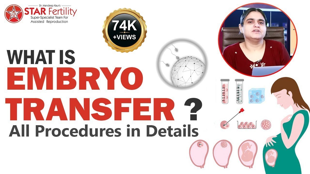 Embryo Transfer in IVF, Lab, blastocyst embryo transfer, IVF lab में ...