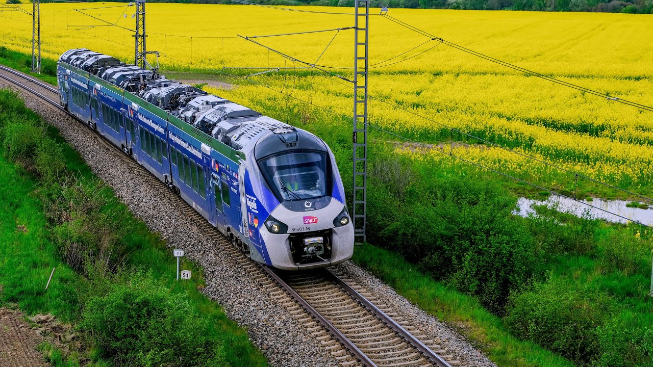 Alstom Régiolis Crossborder at VUZ Velim - YouTube