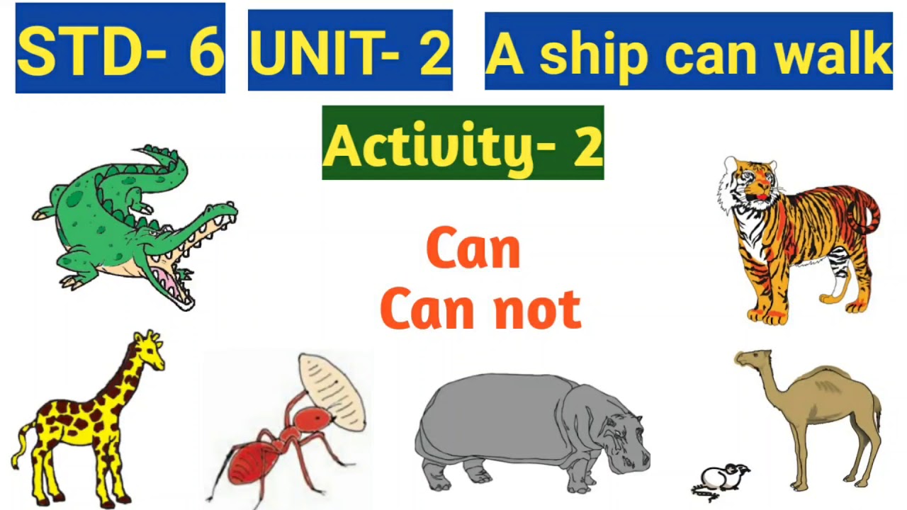 Std6 sem2 eng unit2 activity 2 - YouTube